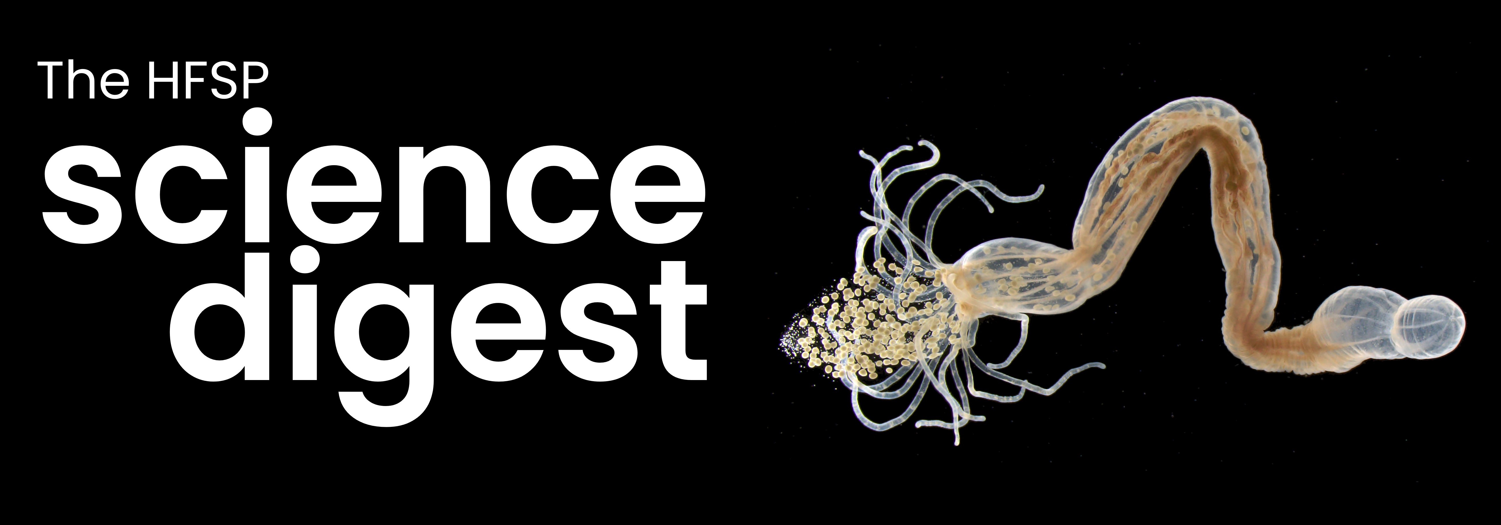 Human Frontier Science Program