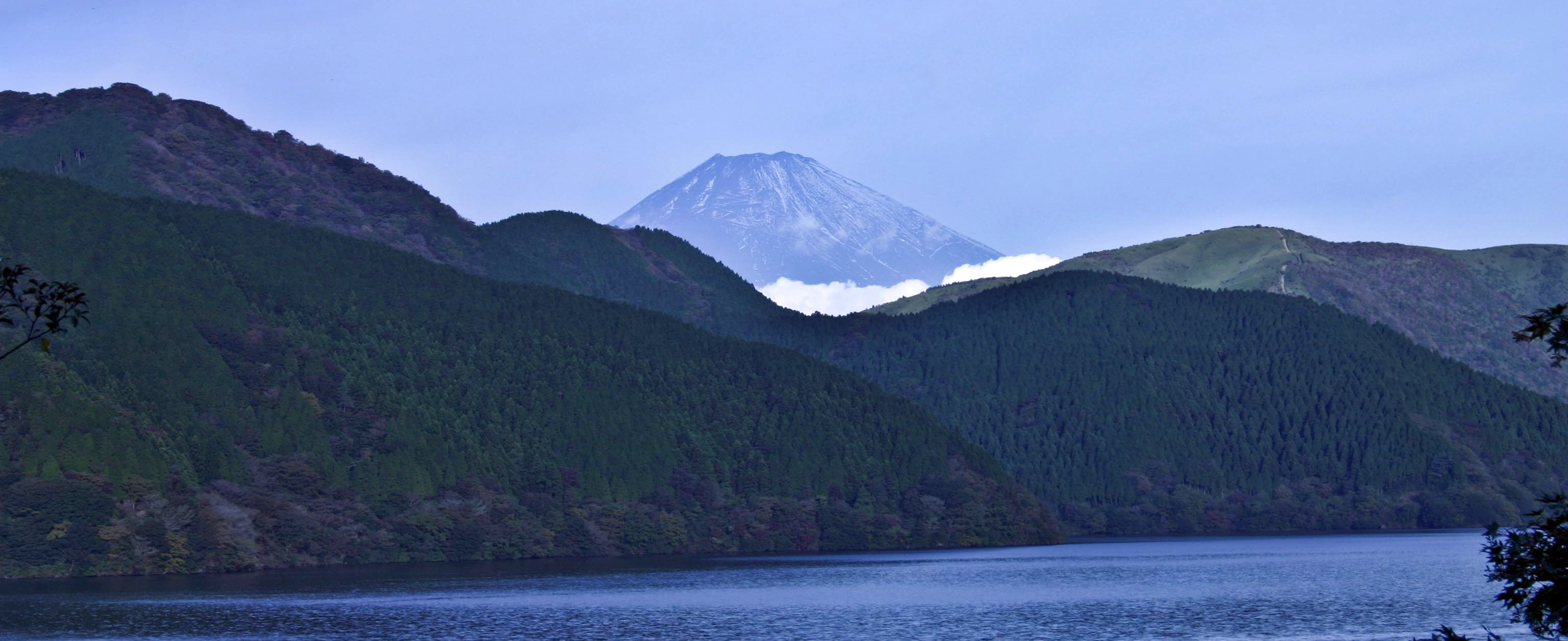 | Human Frontier Science Program